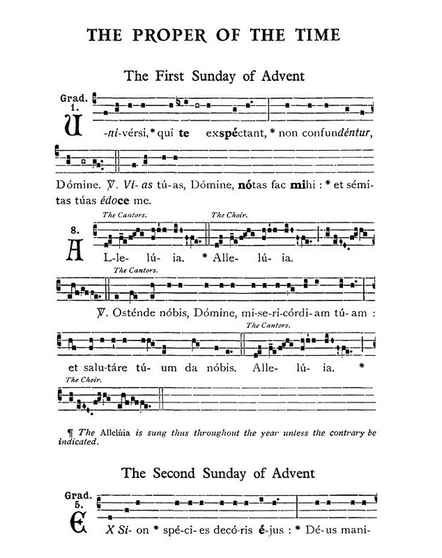 Liber Brevior | Książki katolickie - Sanctus